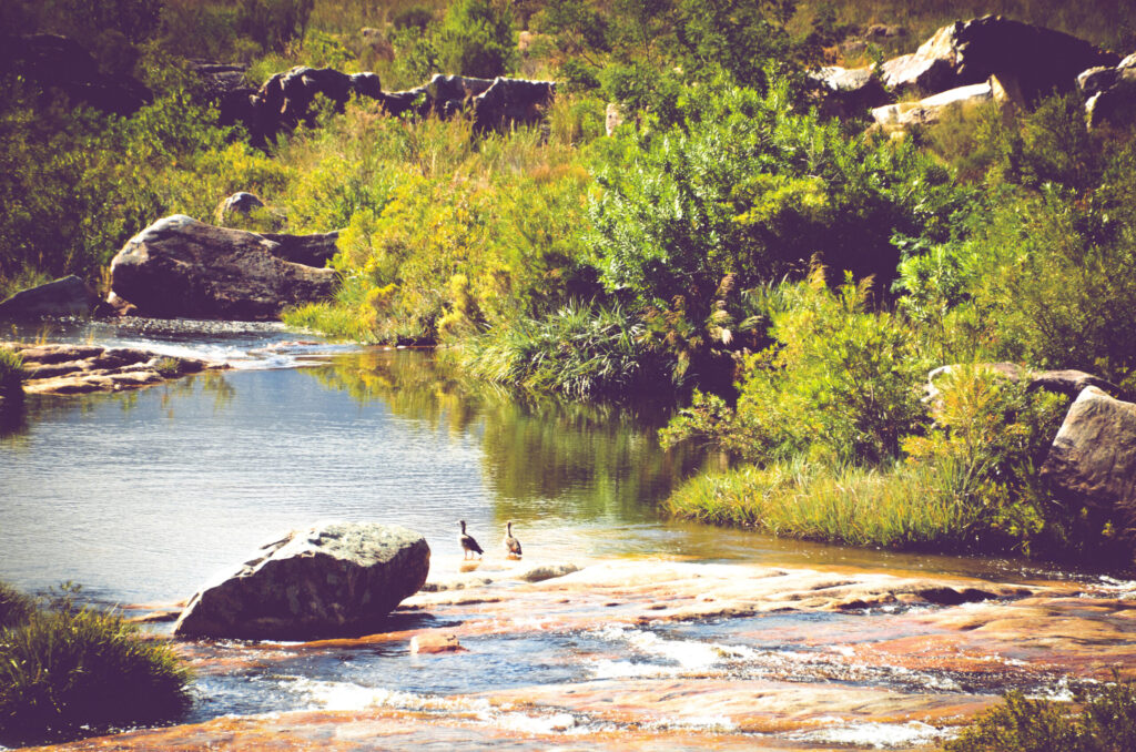 Beaverlac – A Natural Heritage Site